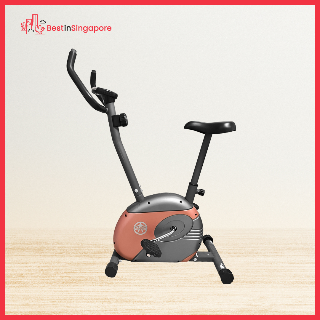 8 Best Exercise Bikes in Singapore for Indoor Workouts [2025 ]