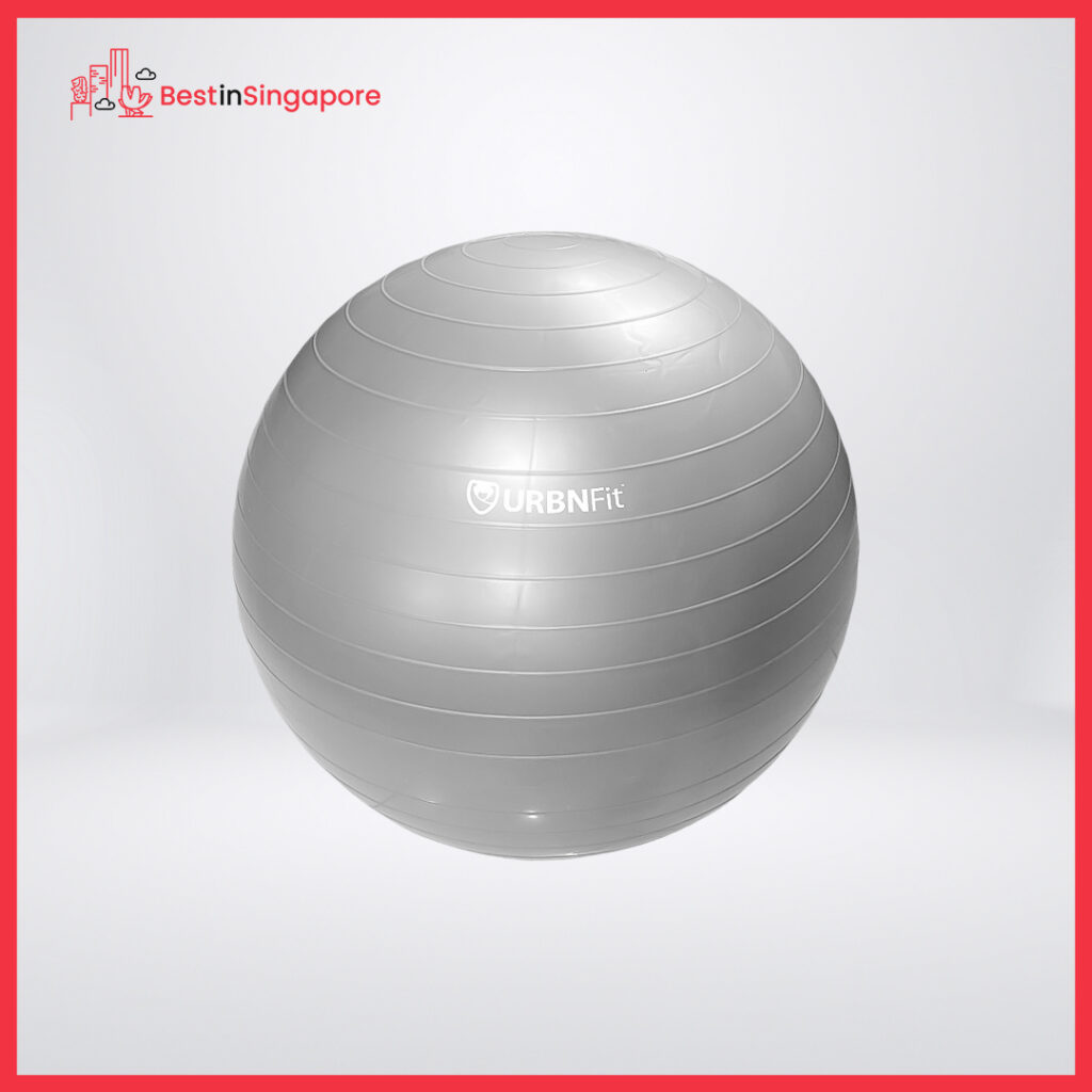 The 5 Best Exercise Balls in Singapore for Core Stability [2025 ]