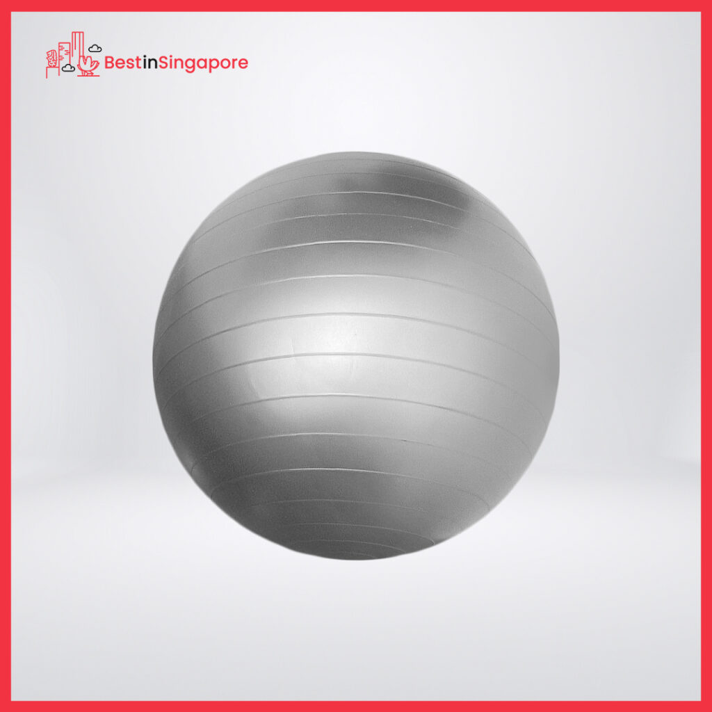 The 5 Best Exercise Balls in Singapore for Core Stability [2025 ]