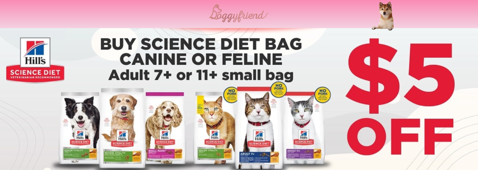 The 16 Best Pet Stores in Singapore [2025 ]