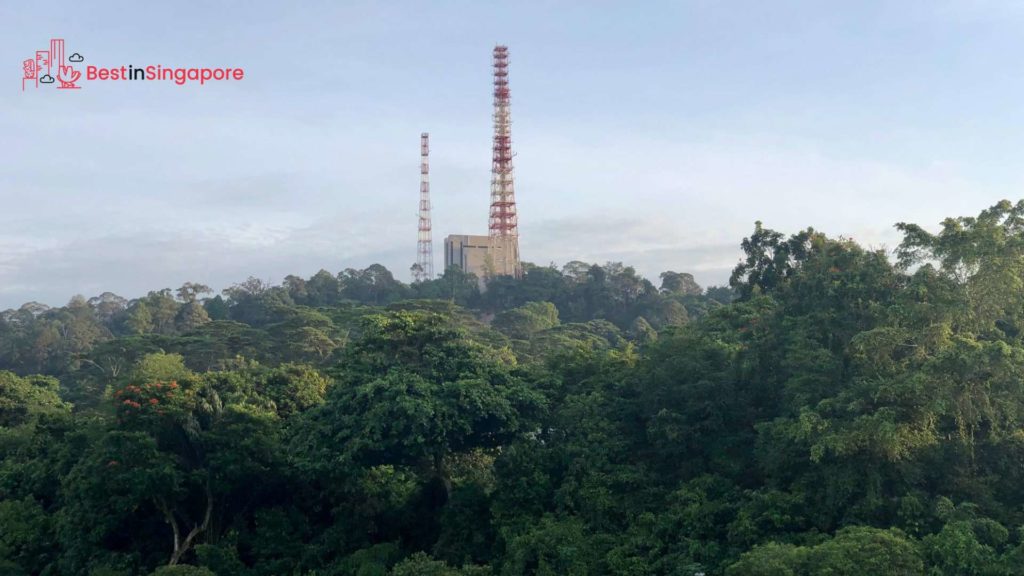 Everything You Need to Know about Bukit Timah Nature Reserve [2026]