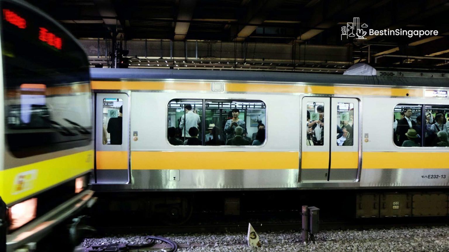 Your Ultimate Guide to Labrador Nature Reserve in Singapore [2025 ]