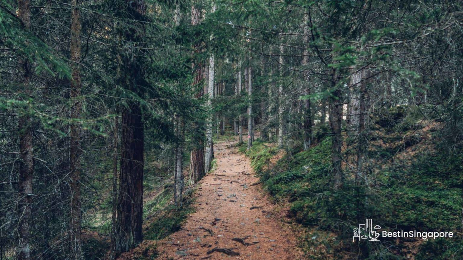 Your Ultimate Guide to Sembawang Park in Singapore [2025 ]