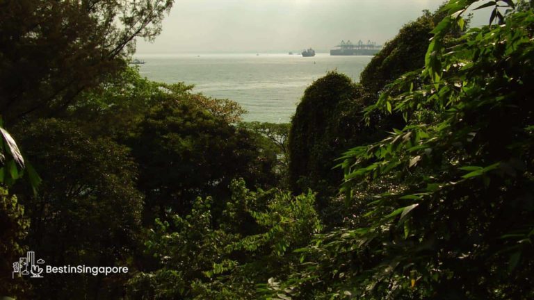 Your Ultimate Guide to Labrador Nature Reserve in Singapore [2025 ]