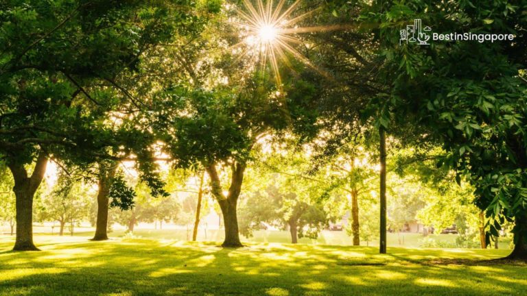 Your Ultimate Guide to Sembawang Park in Singapore [2025 ]