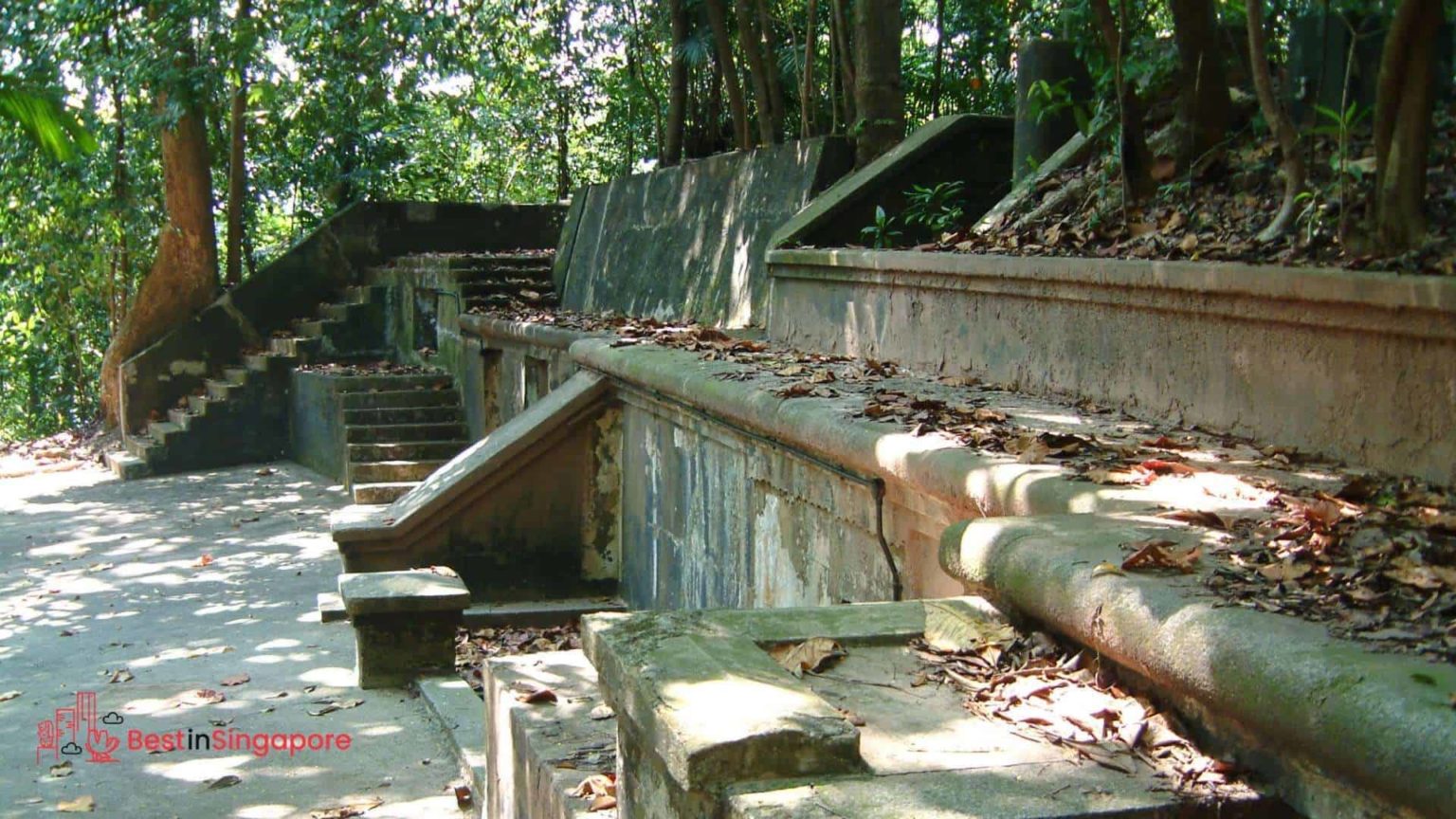 Your Ultimate Guide to Labrador Nature Reserve in Singapore [2026 ]