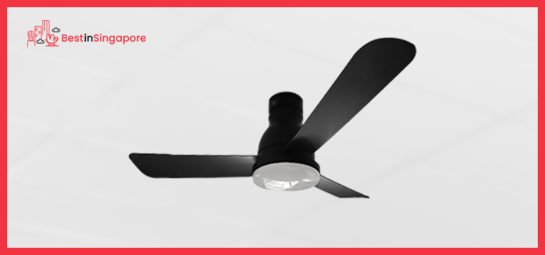 The 20 Best Ceiling Fans in Singapore: Reviewed [2025 ]