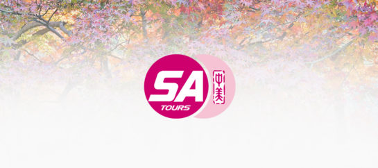 I visited the 23 best travel agencies in Singapore! [2026 ]