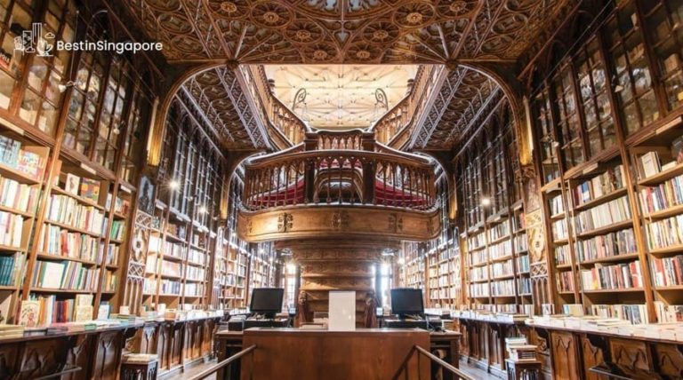 Your Ultimate Guide to Public Libraries in Singapore [2025 ]