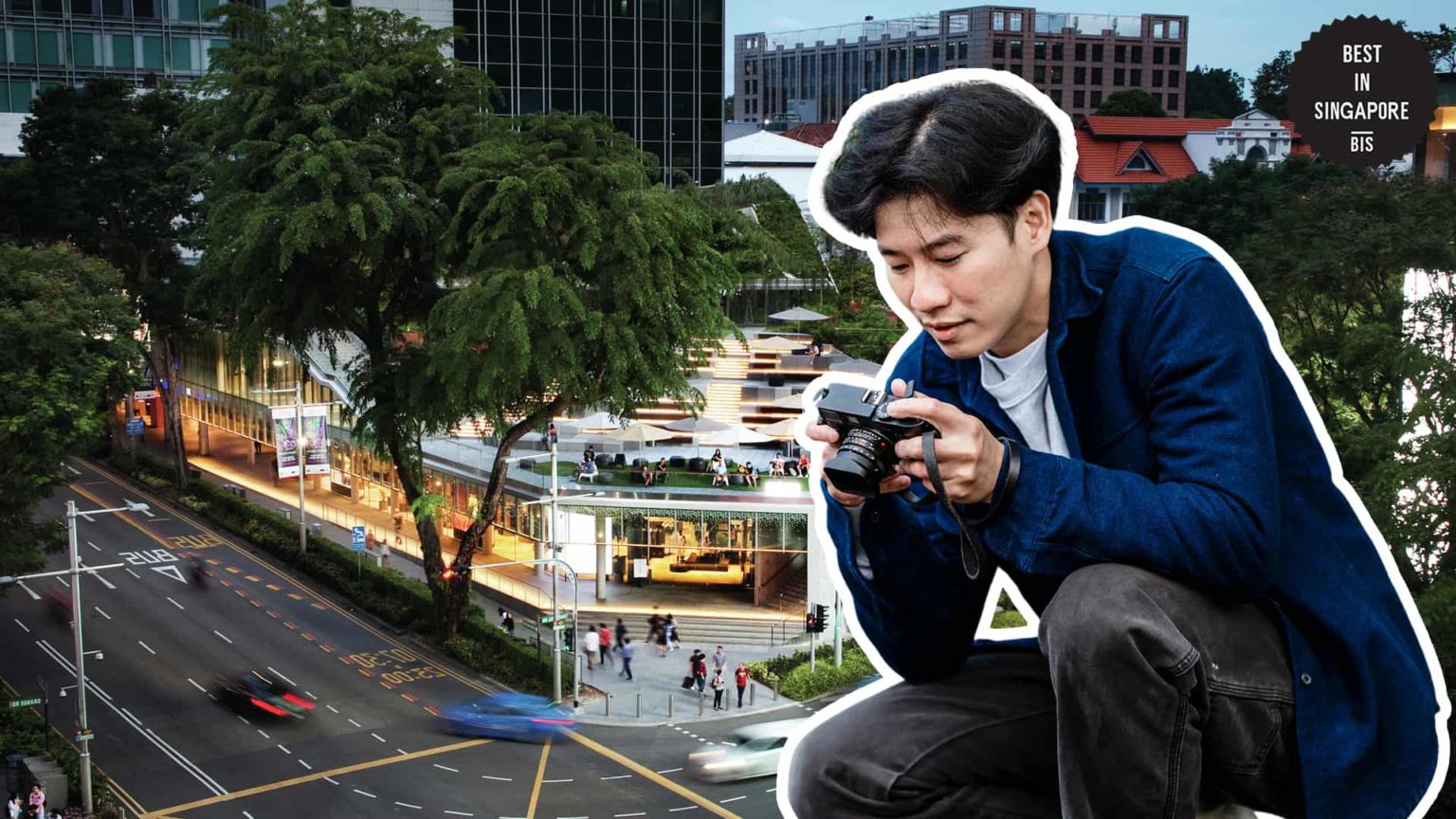 The Ultimate Guide to Design Orchard: Best Shops and More [2025 ]