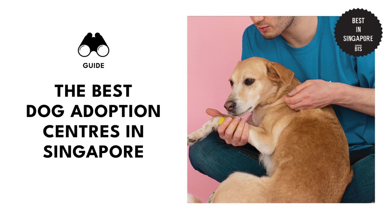 The 7 Best CRUELTY-FREE Dog Adoption Centres in Singapore