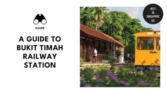 Guide to a Trip to the Past at Bukit Timah Railway Station [2026]