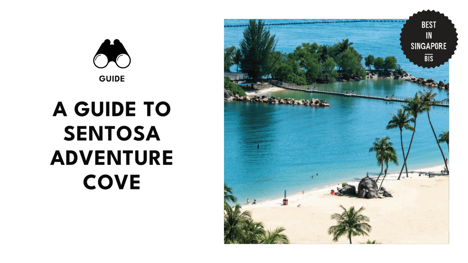 A Guide to Sentosa Adventure Cove for a Swimmingly Good Time [2025]