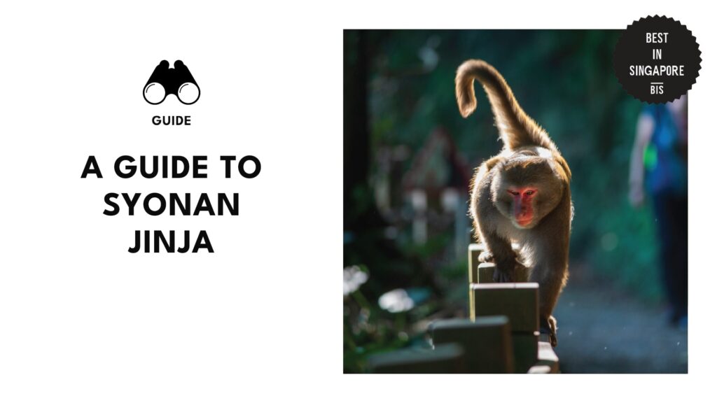 A Guide to Syonan Jinja Where History and Nature Meet [2026]