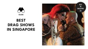 12 Sickening Drag Shows Slaying in Singapore [2025]