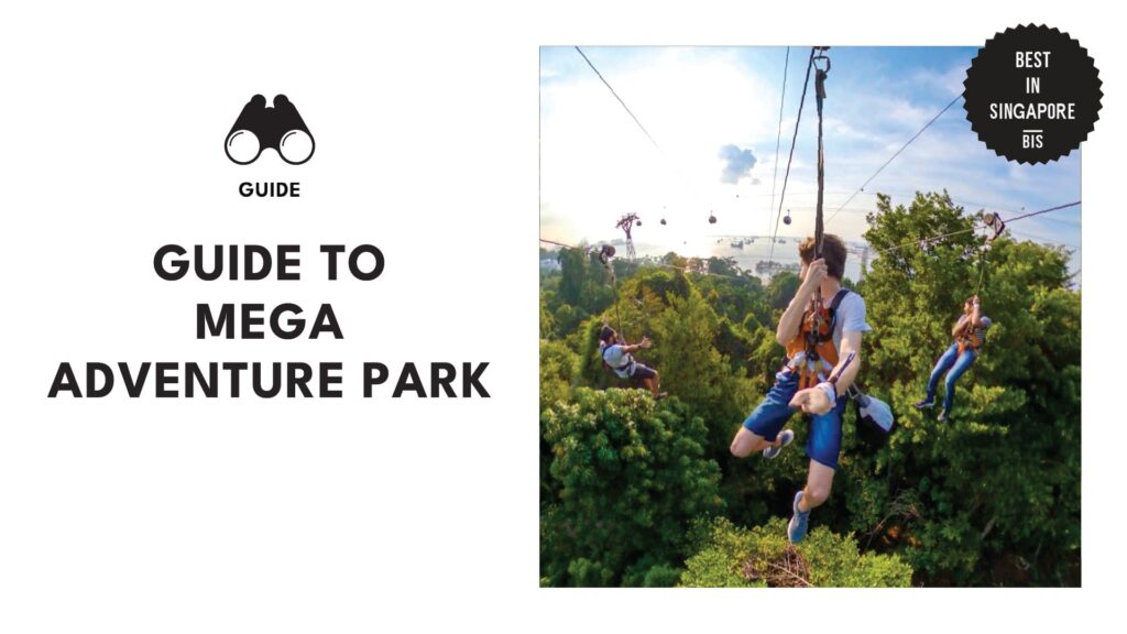 Mega Adventure Park is not for the faint-hearted! [2026]