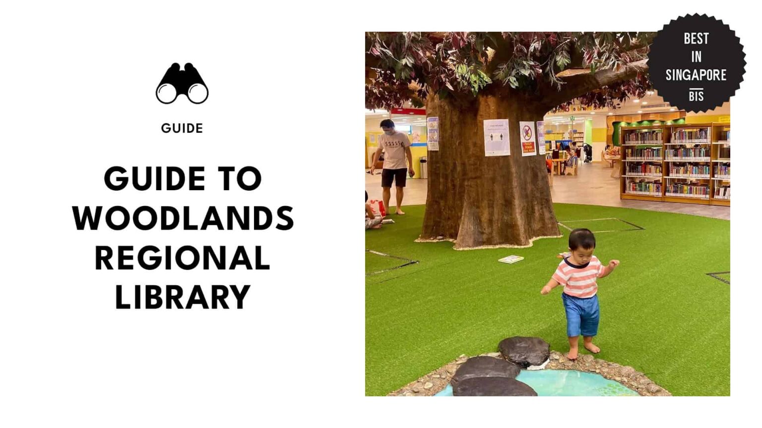 Woodlands Regional Library: What to Know Before You Go