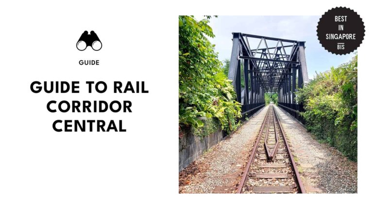 A Hiker’s Guide to Rail Corridor Central