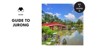 Jurong Neighbourhood Guide | What’s Worth Seeing in the East
